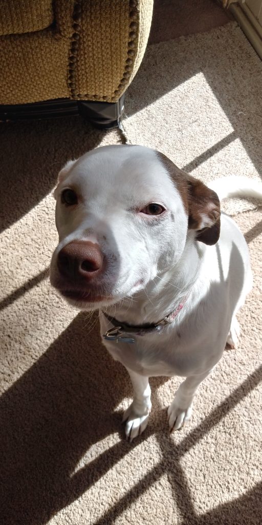 Cathy Galvan - Accessity