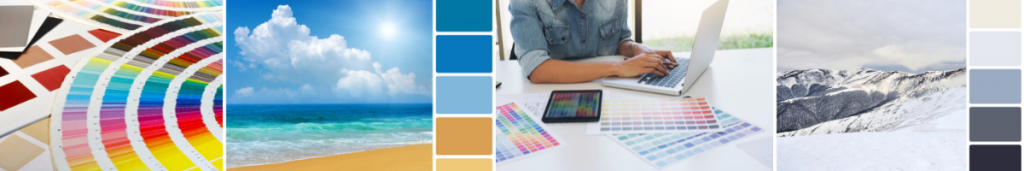 How to Create a Visual Identity for Your Business - Accessity