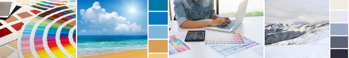 How to Create a Visual Identity for Your Business - Accessity