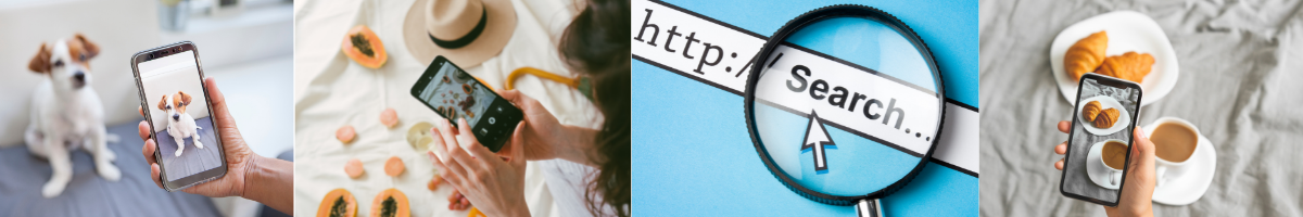 How to Create a Visual Identity for Your Business - Accessity